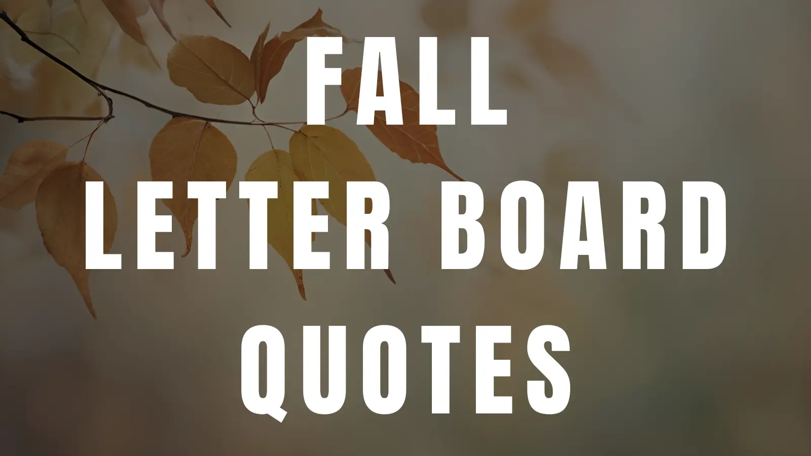 50 Best Fall Letter Board Quotes for Autumn Vibes - Occasion Talk